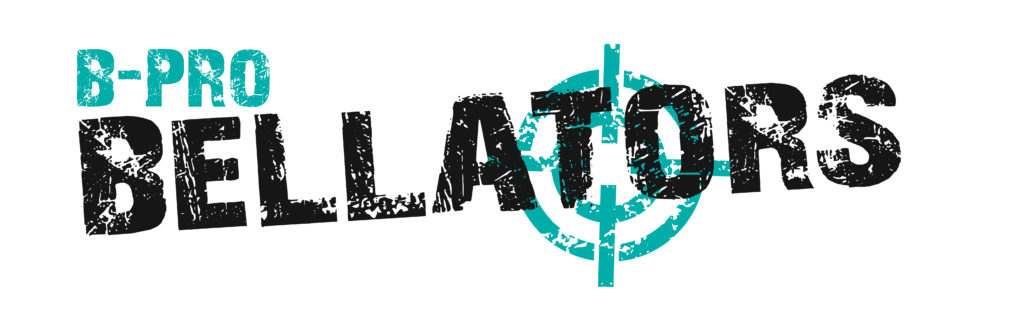 FŐOLDAL - bpro.solutions